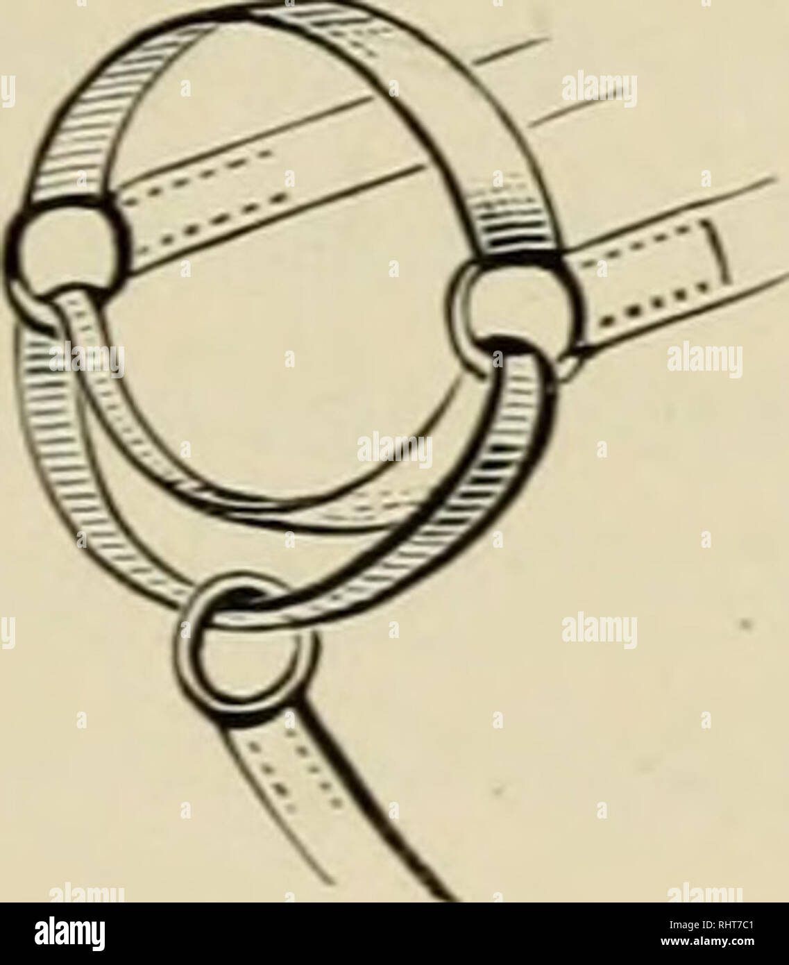 Breaking broncho hi-res stock photography and images - Alamy