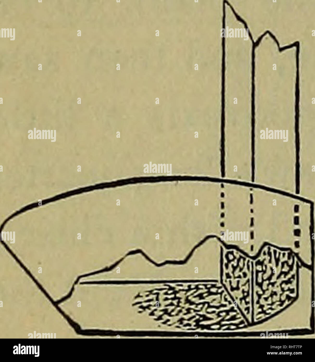 Horse trough eating hi-res stock photography and images - Alamy