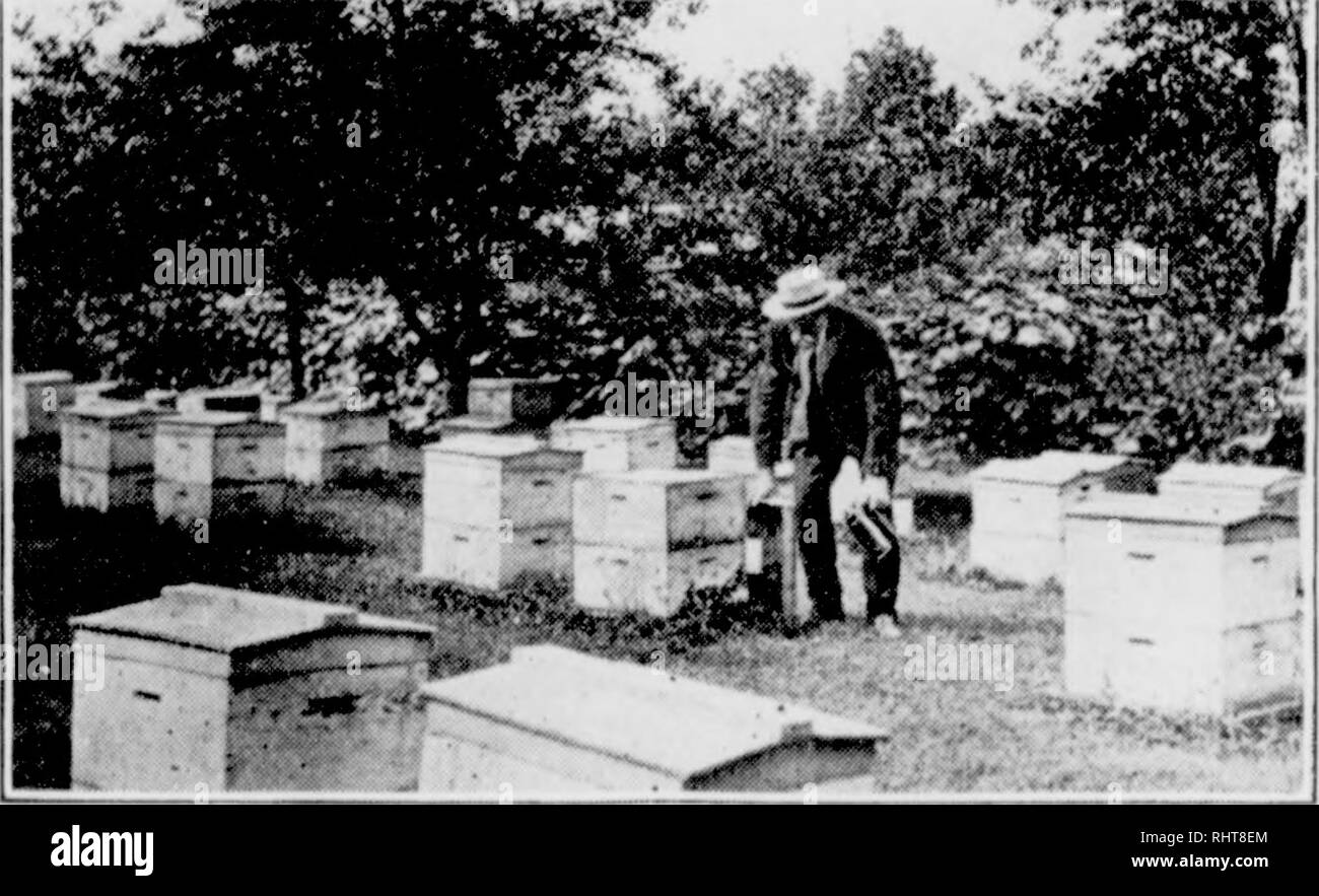 Beekeeper v Black and White Stock Photos & Images - Alamy