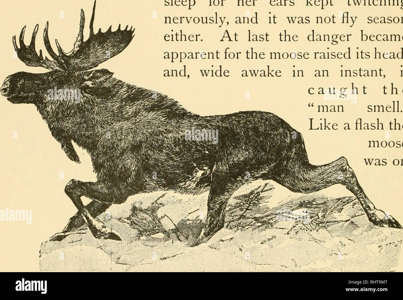 Stirs the imagination hi-res stock photography and images - Alamy