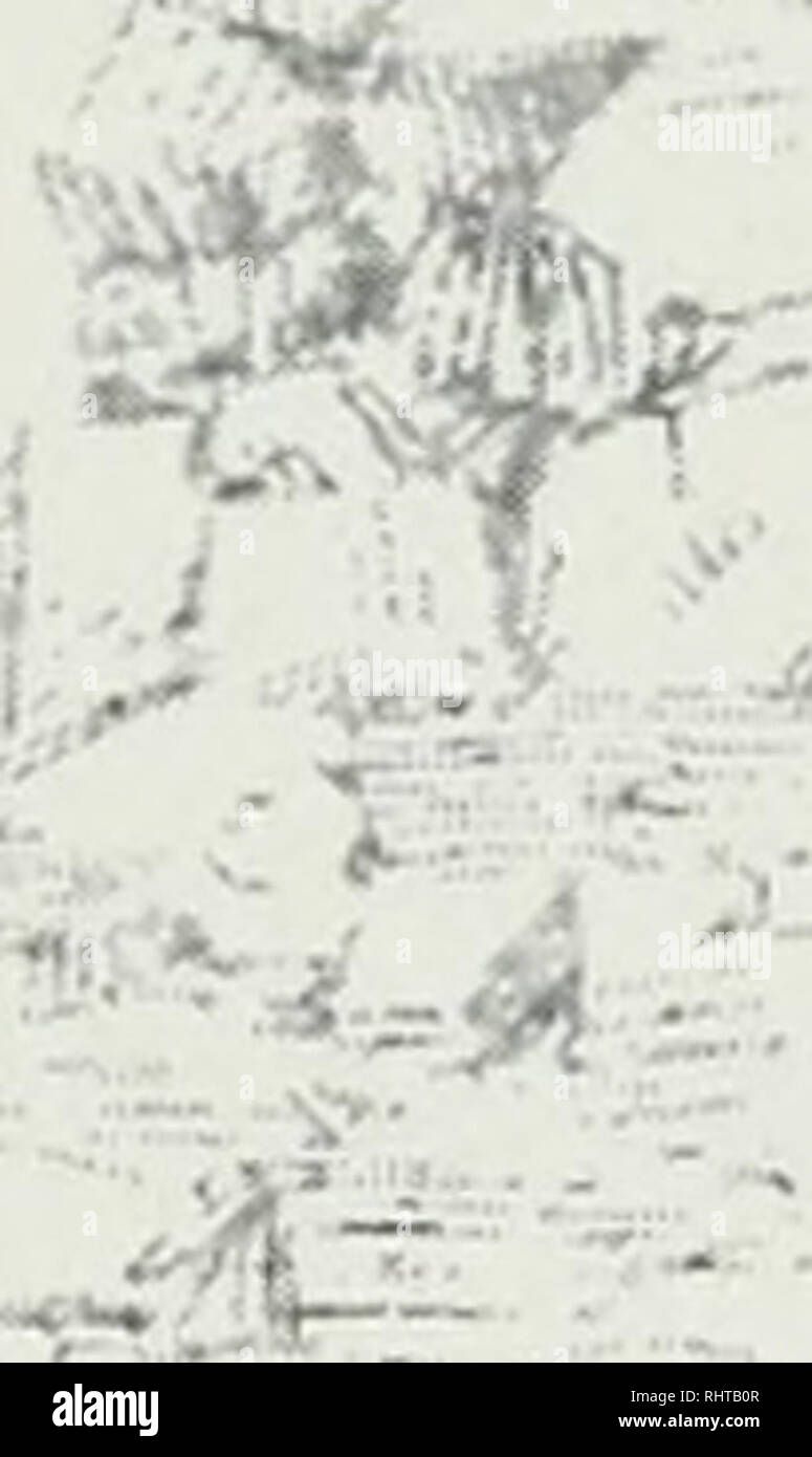 . Biennial report, Montana Game and Fish Commission, State of Montana ...