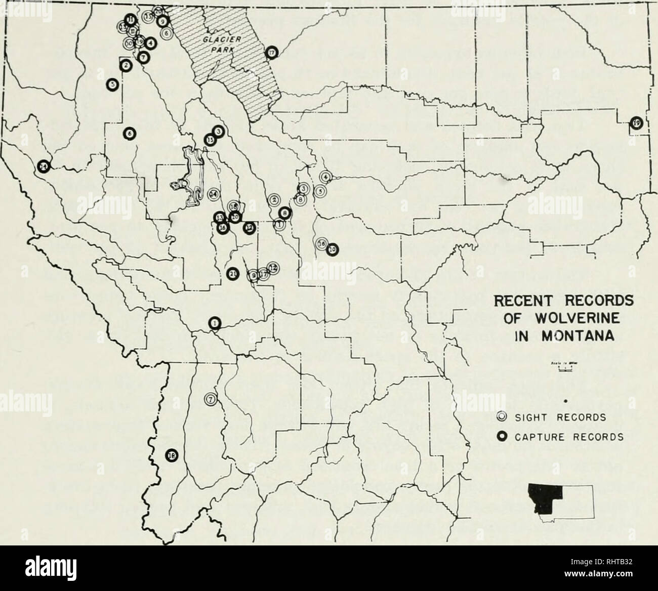 Wolverine map hi-res stock photography and images - Alamy