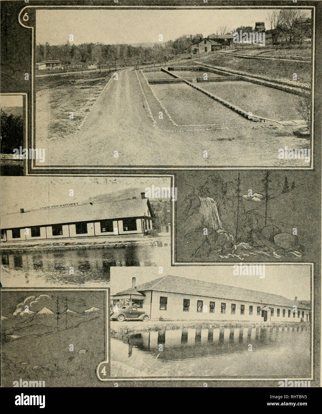 Ponds rearing trout in fisheries hi-res stock photography and images ...