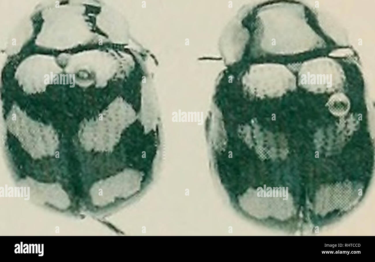 . The ... biennial report. Field Museum of Natural History. Leslie ...