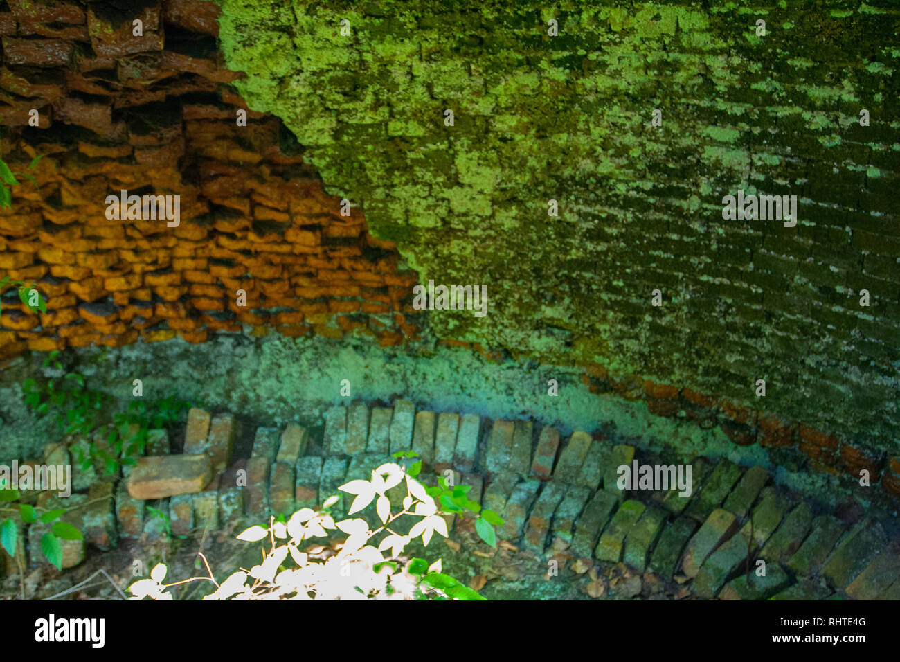 Coketown Coke Oven Ruins, Thomas, West Virginia Stock Photo - Alamy