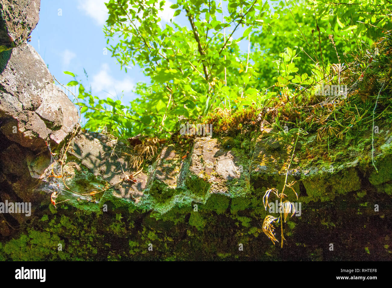 Coketown Coke Oven Ruins, Thomas, West Virginia Stock Photo - Alamy