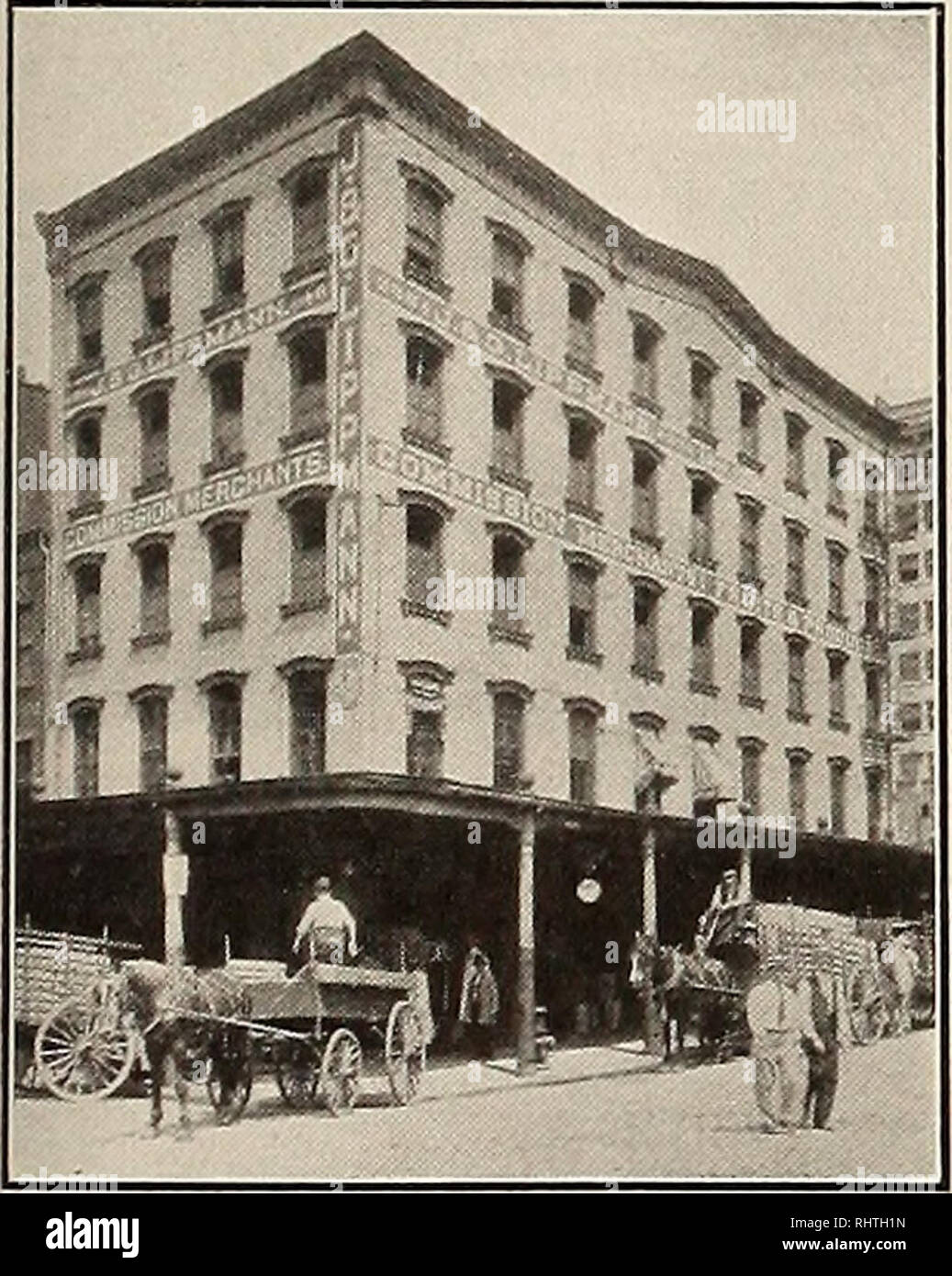 India rae hi-res stock photography and images - Alamy