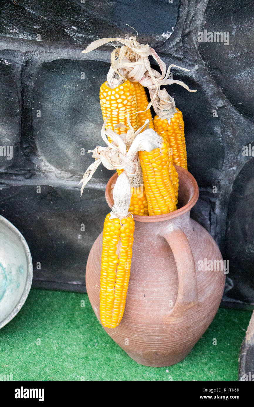 Dry corn on the cob kernels are peeled Stock Photo - Alamy