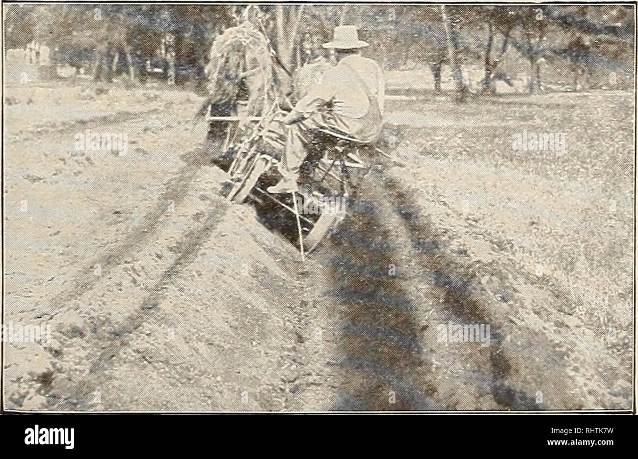 . Better fruit. Fruit-culture. The 20th Century Grader is the Irrig ...