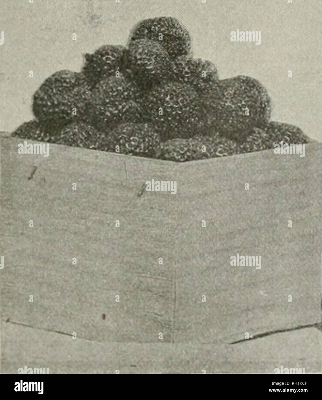 Card carriers hi-res stock photography and images - Alamy