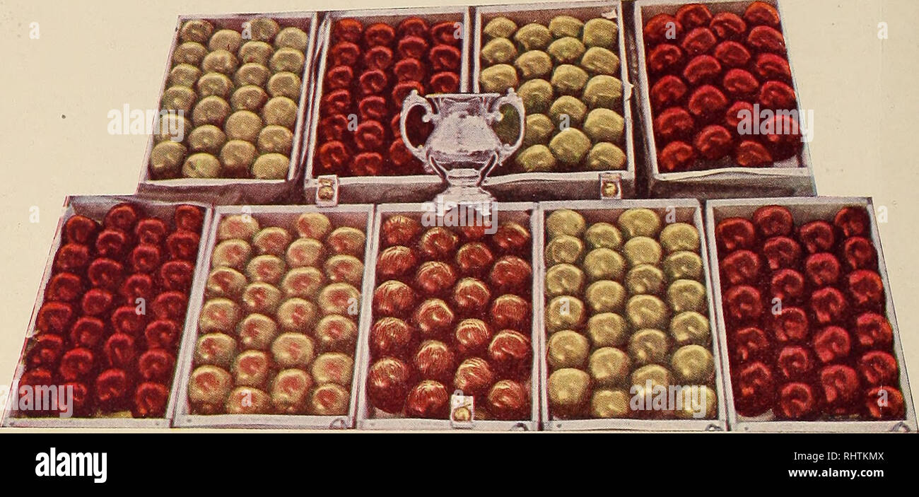 Spokane trophy hi-res stock photography and images - Alamy