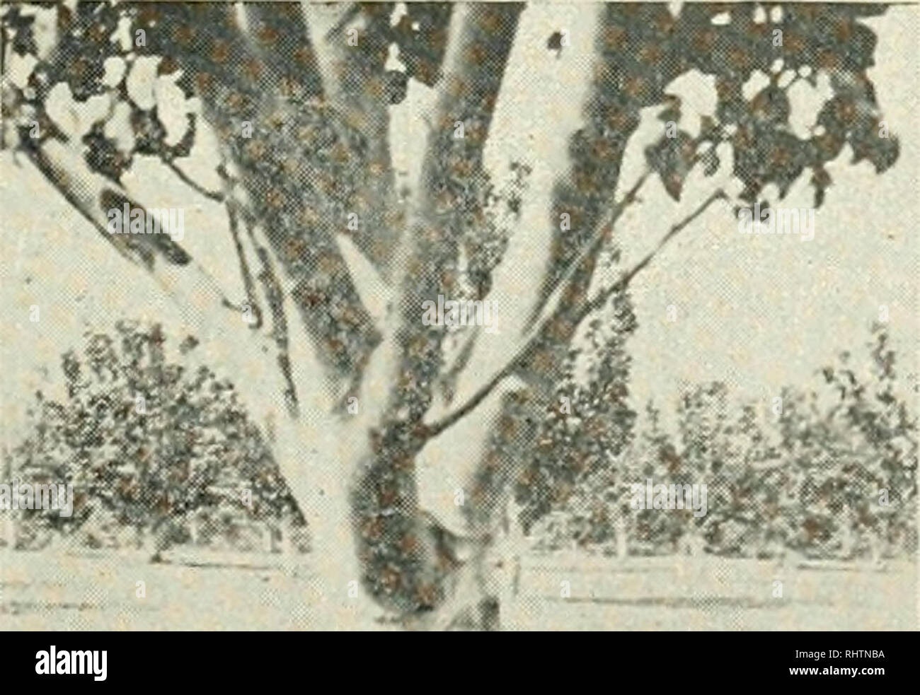 Melander lewis m hi-res stock photography and images - Alamy