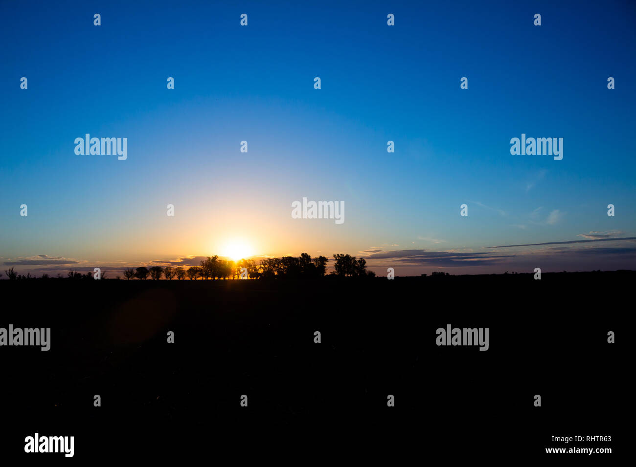 Beautiful and dramatic sunset behind a group of trees in the field ...