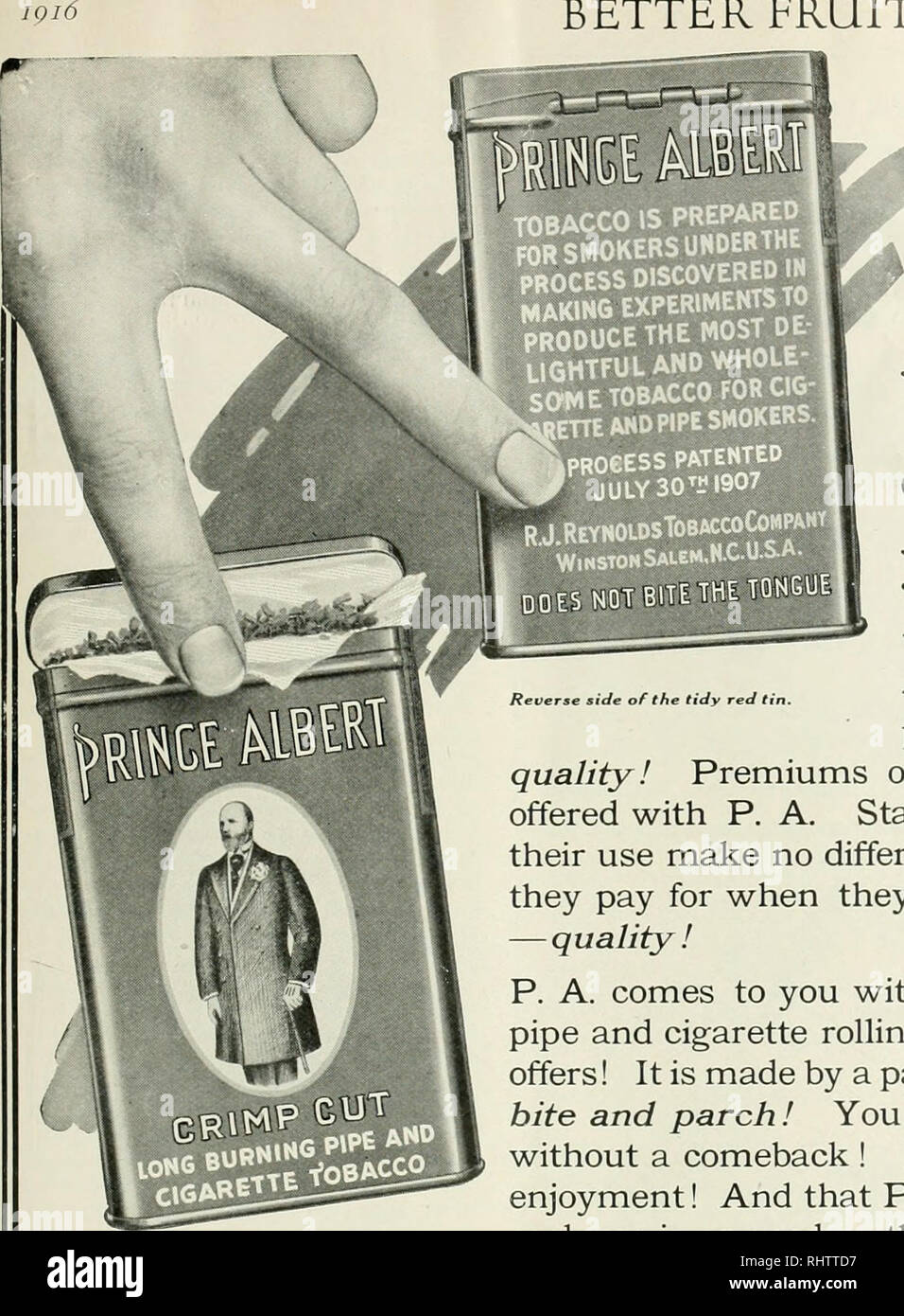 Prince Albert Tin Can Value