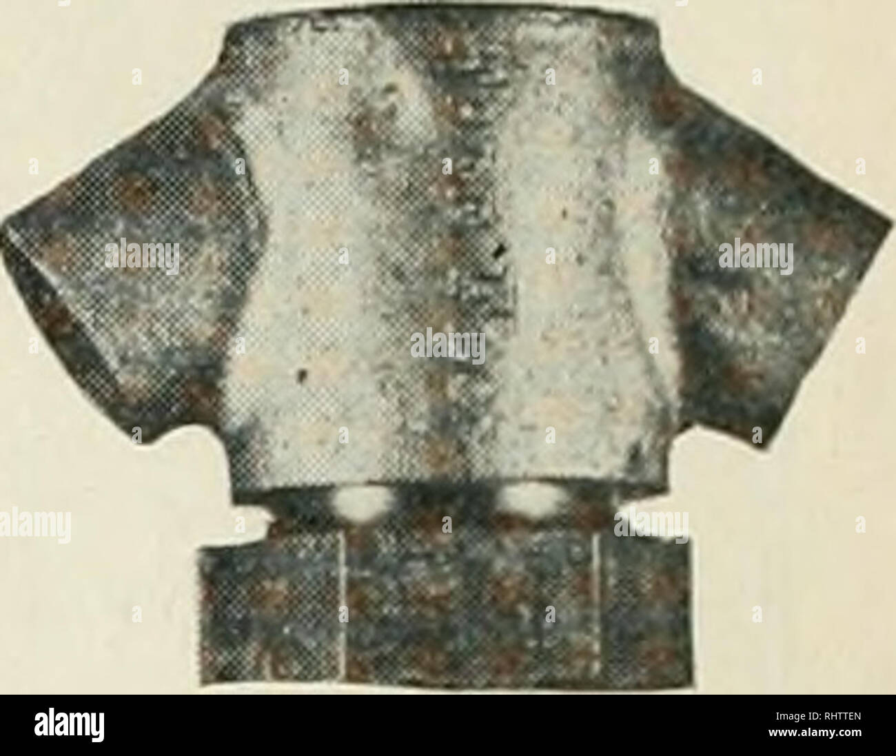 . Better fruit. Fruit-culture. IRRIGATION VALVES These valves were ...