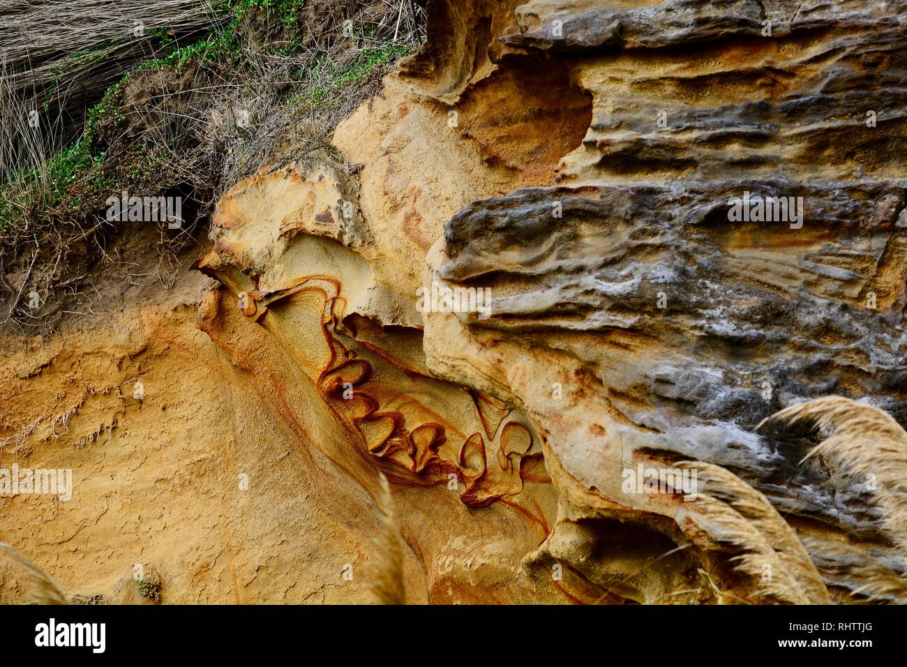 The “wild” West Coast of New Zealand: rugged coastal cliffs shaped by ...