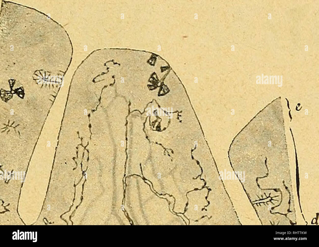 Gnation hi-res stock photography and images - Alamy