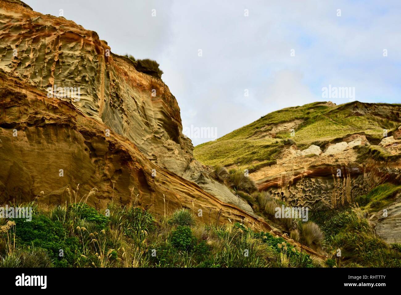 The “wild” West Coast of New Zealand: rugged coastal cliffs shaped by ...