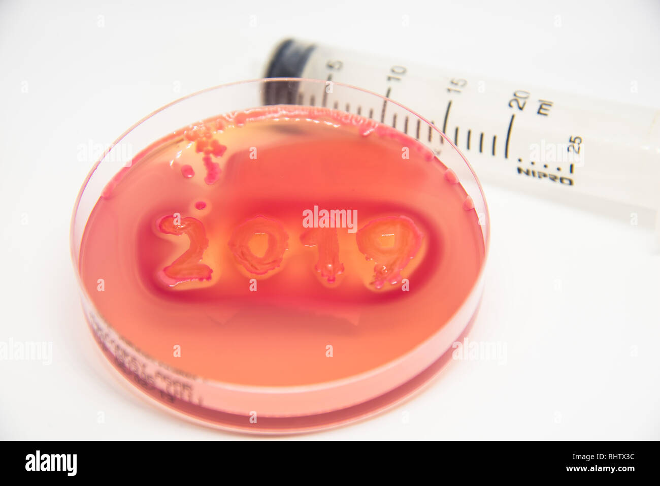 Culture dish injection hi-res stock photography and images - Alamy