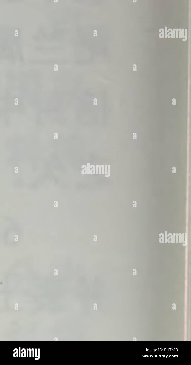 Aac 1995 hi-res stock photography and images - Alamy