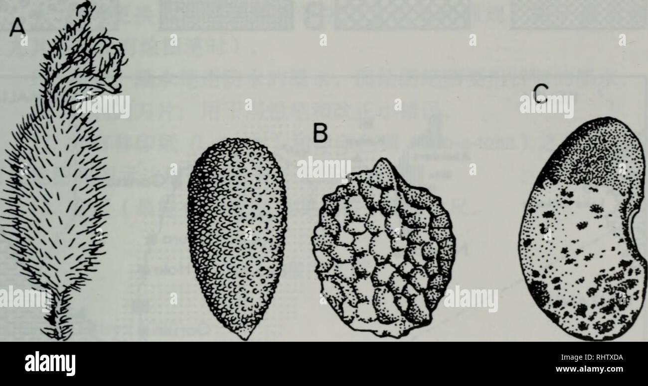 Letraset hi-res stock photography and images - Alamy