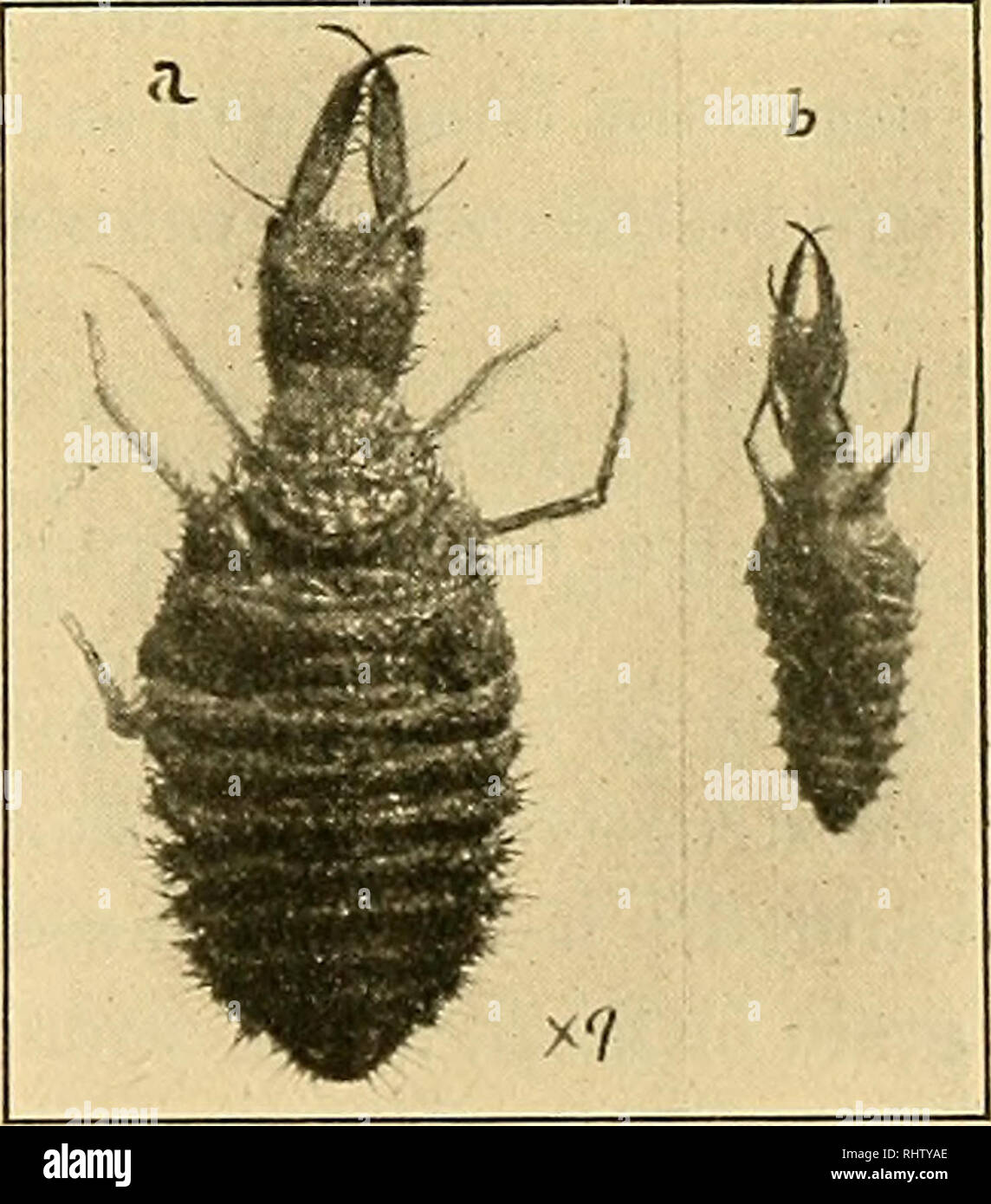 . The Bermuda islands. An account of their scenery, climate ...