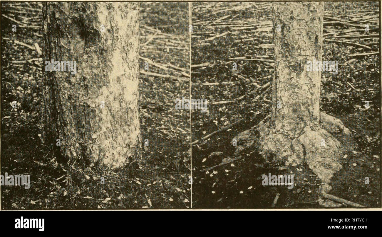 No compacting soil hi-res stock photography and images - Alamy