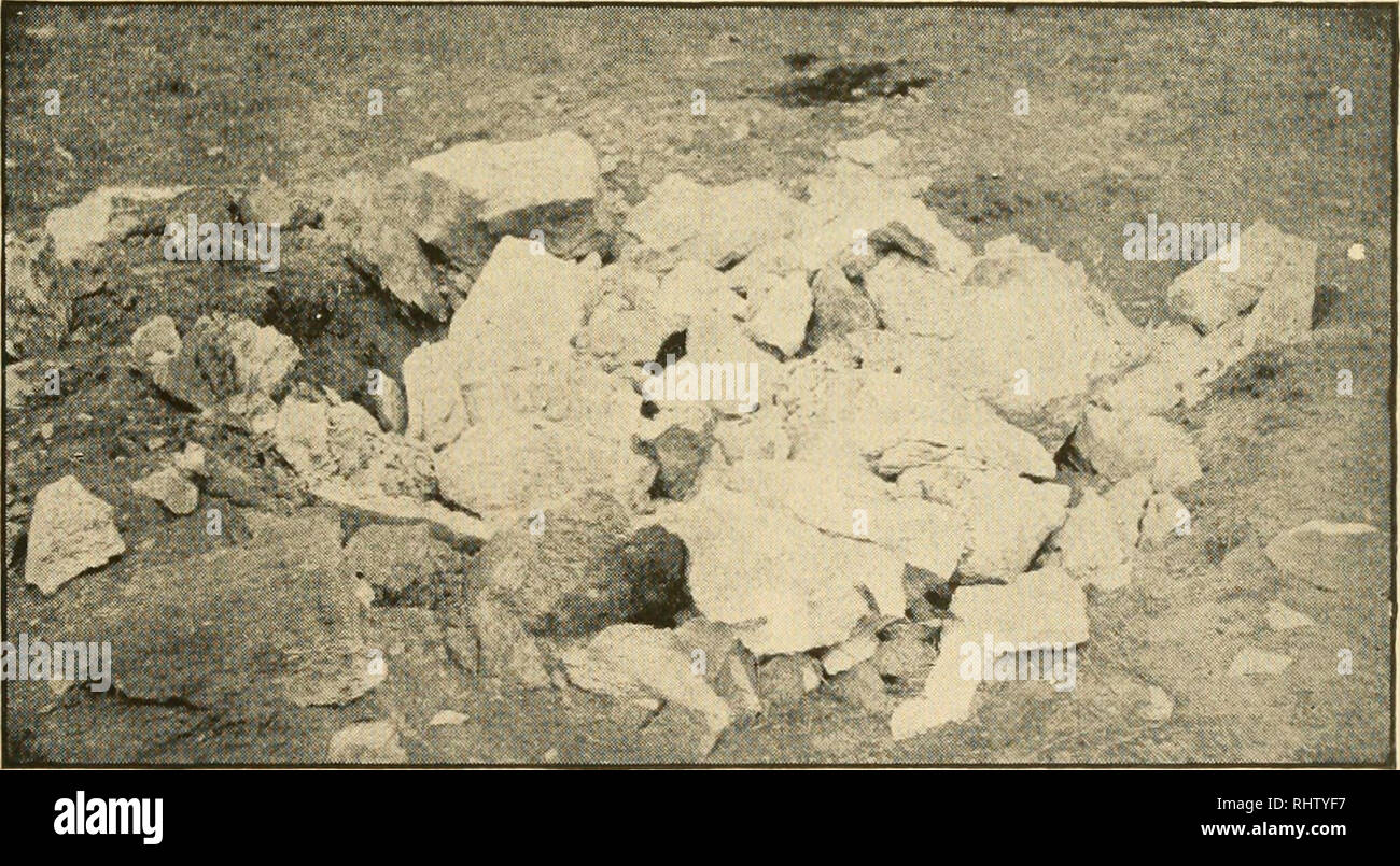 . Better farming with Atlas farm powder, the safest explosive, the ...