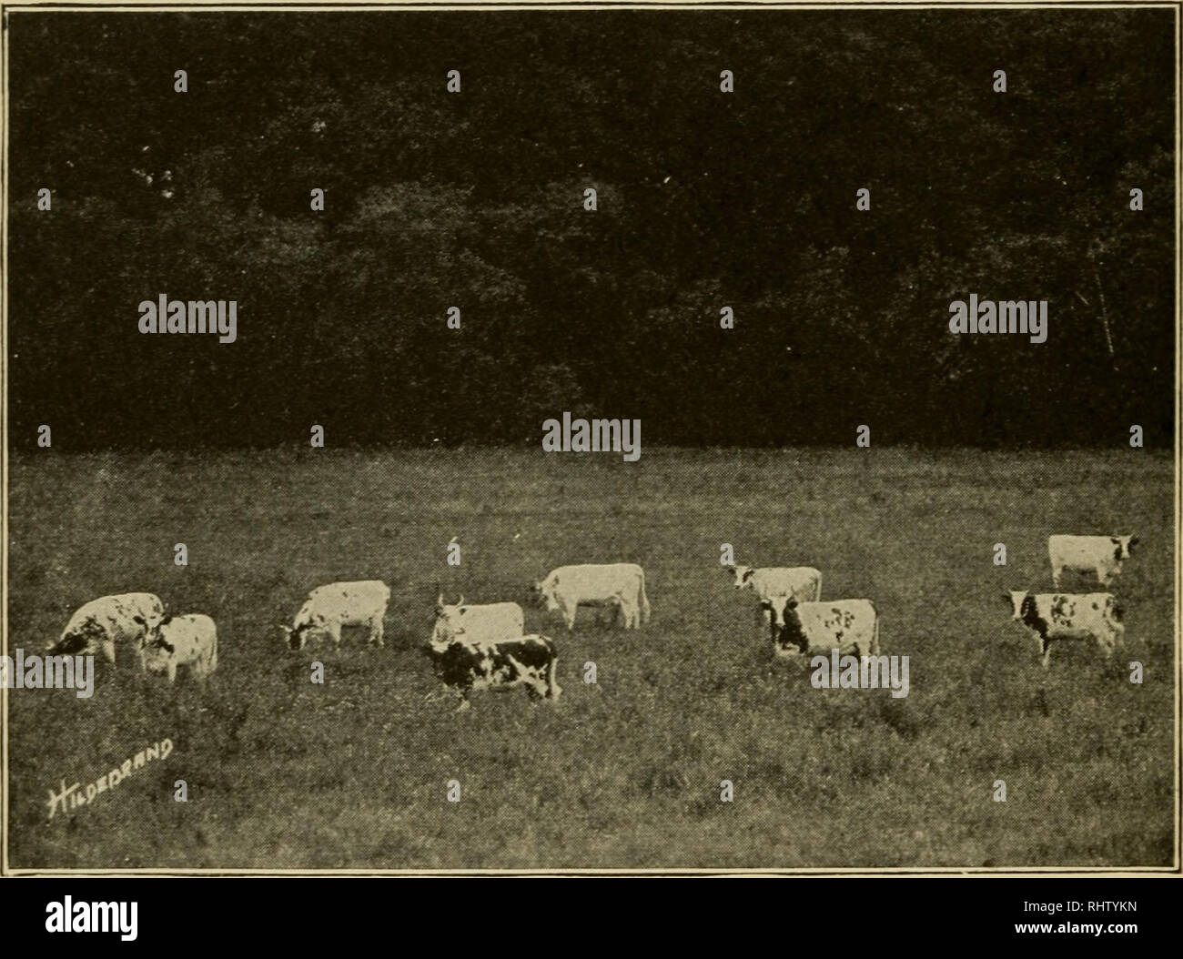 Roughages High Resolution Stock Photography and Images - Alamy