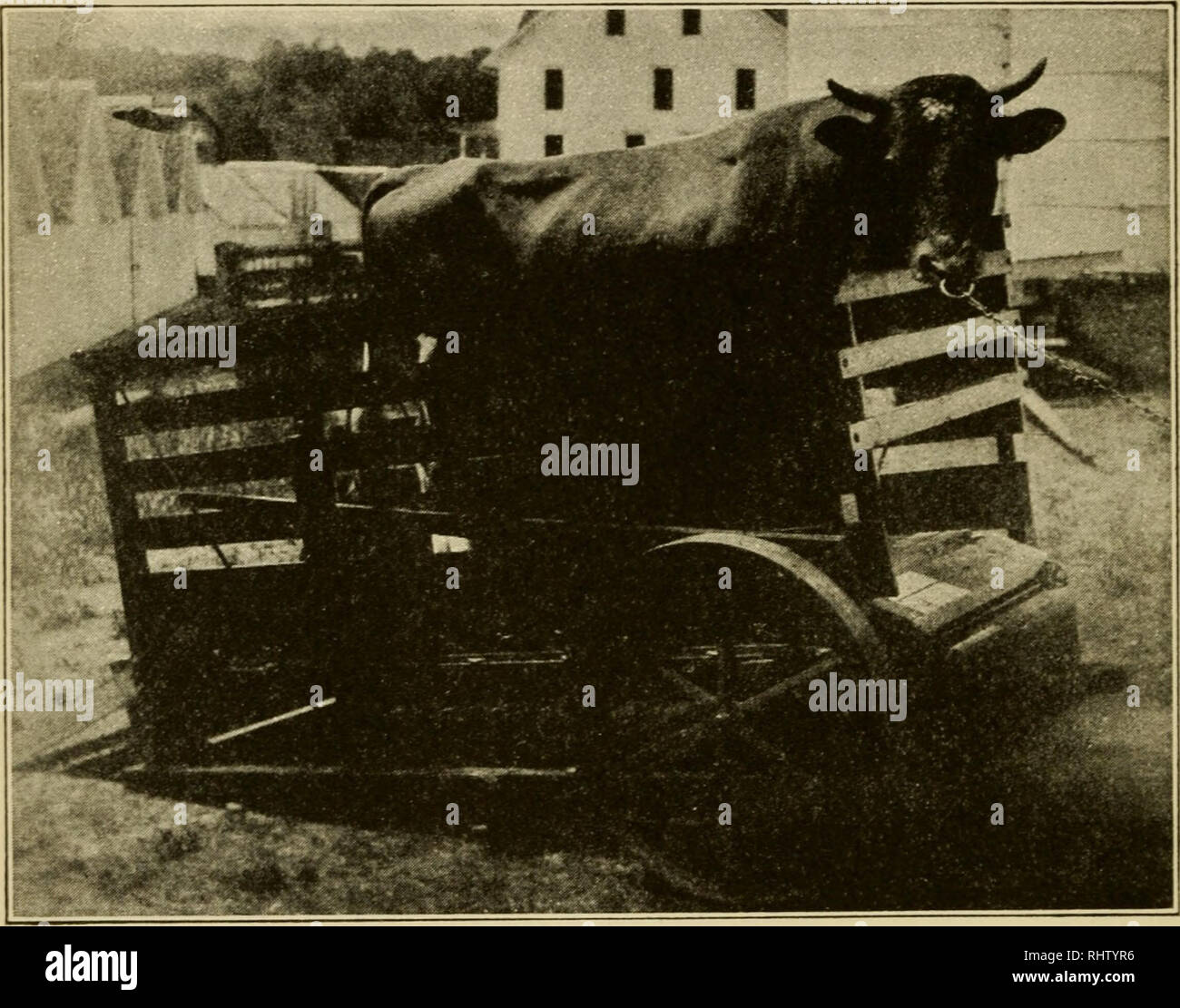 Secret serv hi-res stock photography and images - Alamy