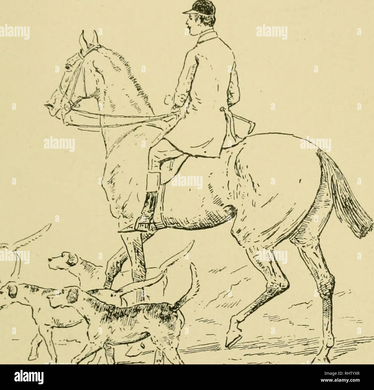 . The best of the fun, 1891-1897. Horses; Hunting; Fox hunting. THE ...
