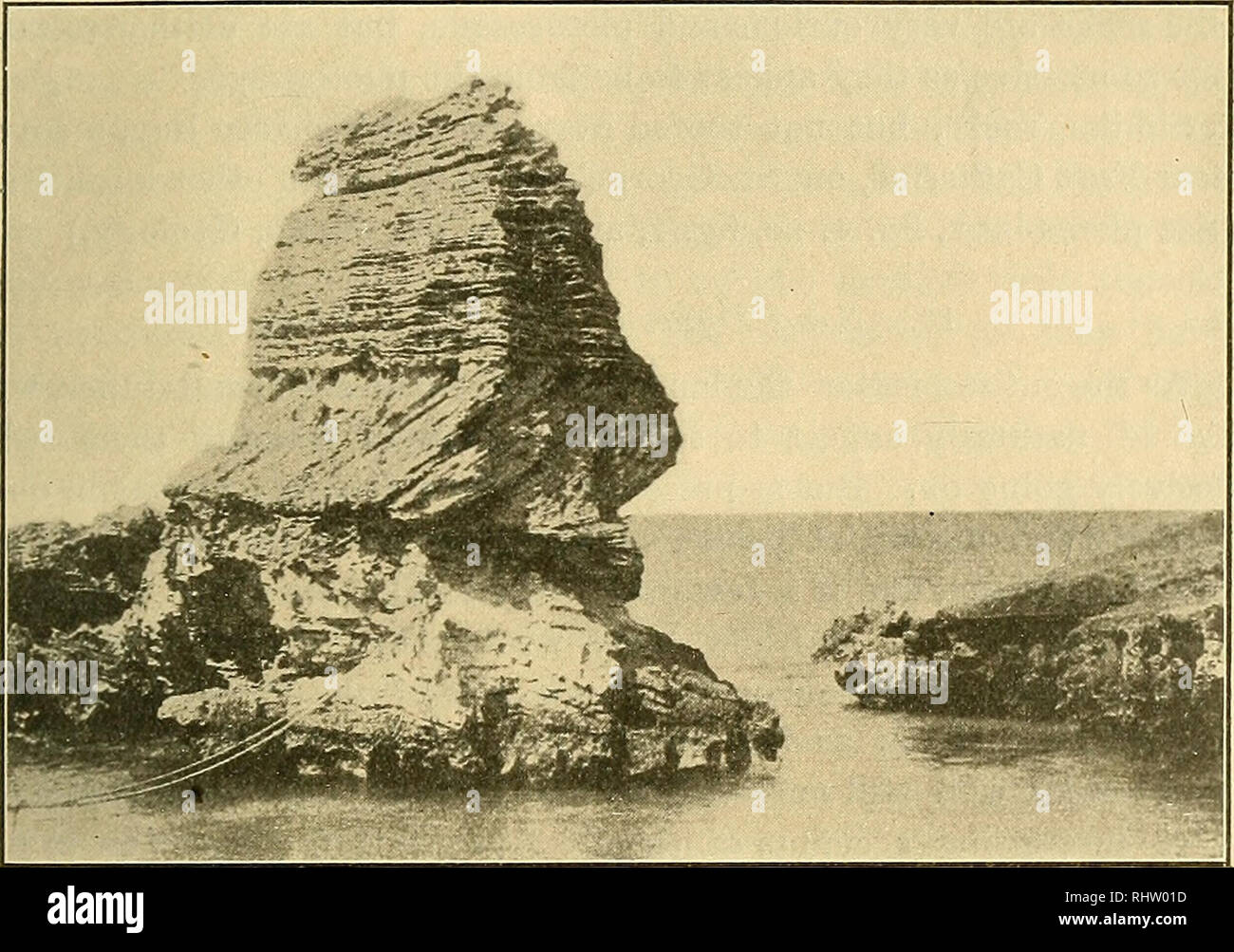 . The Bermuda islands. An account of their scenery, climate ...