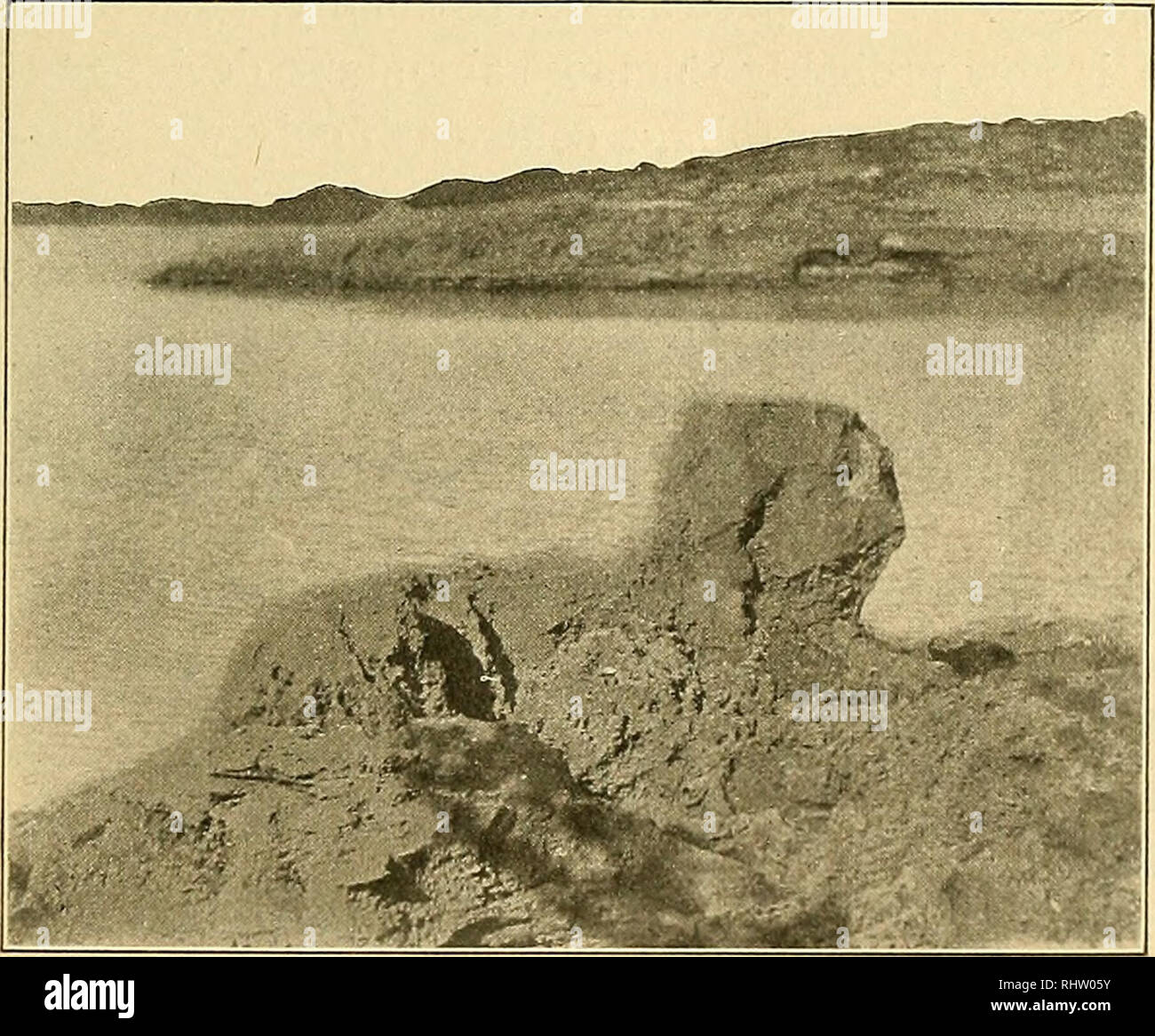 . The Bermuda islands. An account of their scenery, climate ...