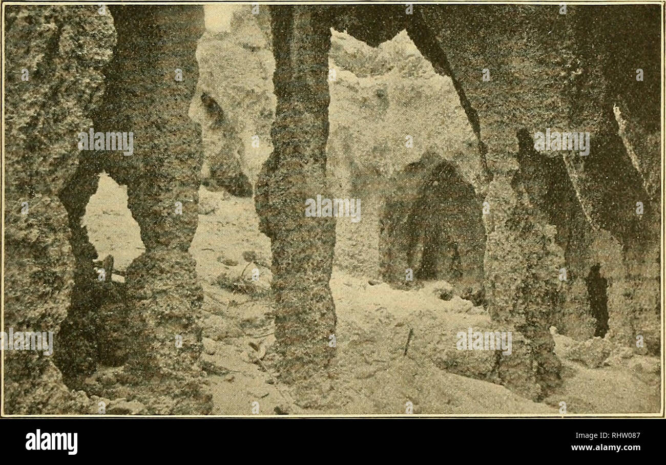 Bermuda roads hi-res stock photography and images - Alamy