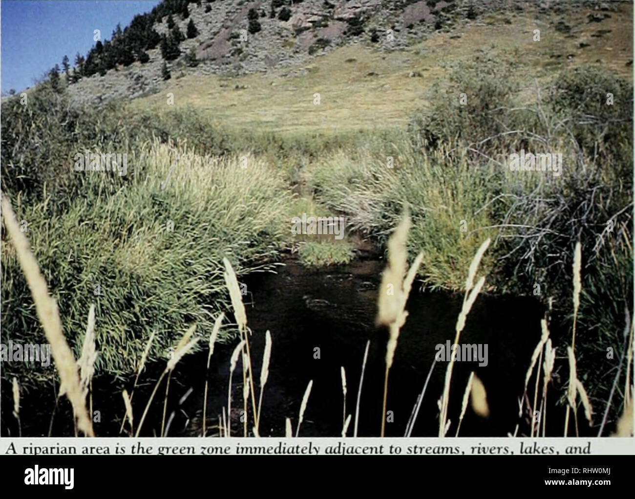 . Best management practices for grazing Montana . Grazing; Range ...