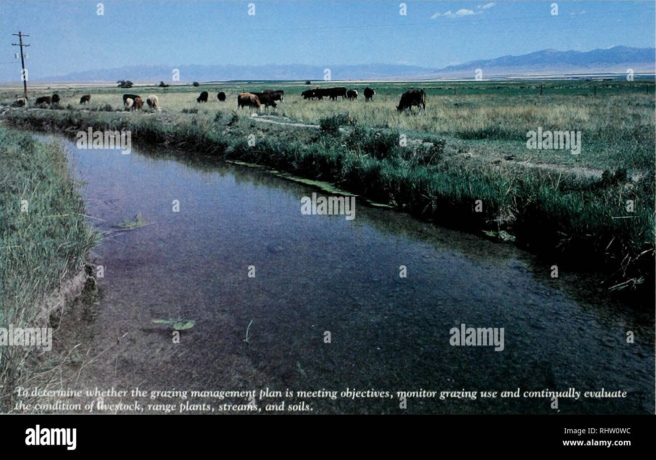 Livestock grazing impacts hi-res stock photography and images - Alamy
