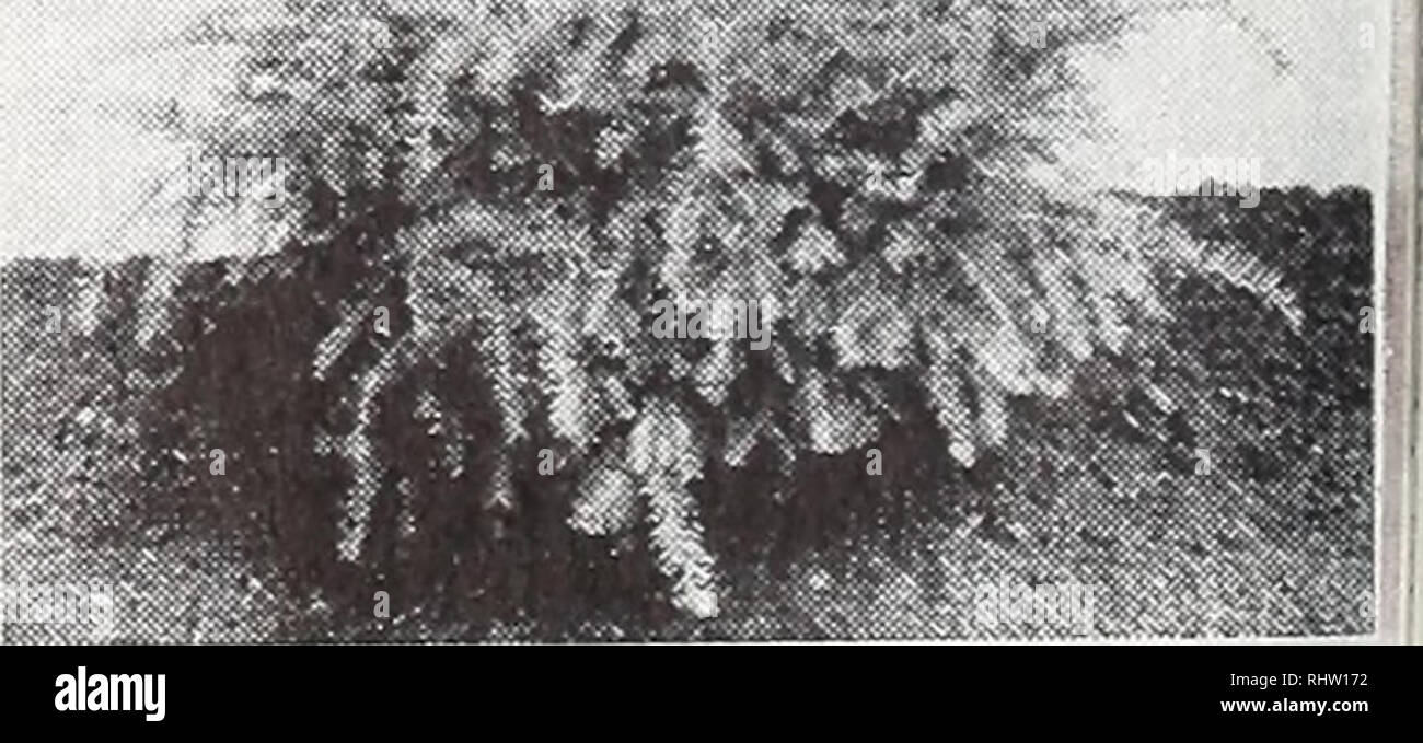 . Berry 1971 book : Rayner Bros. Excellent for All Types of Landscape ...