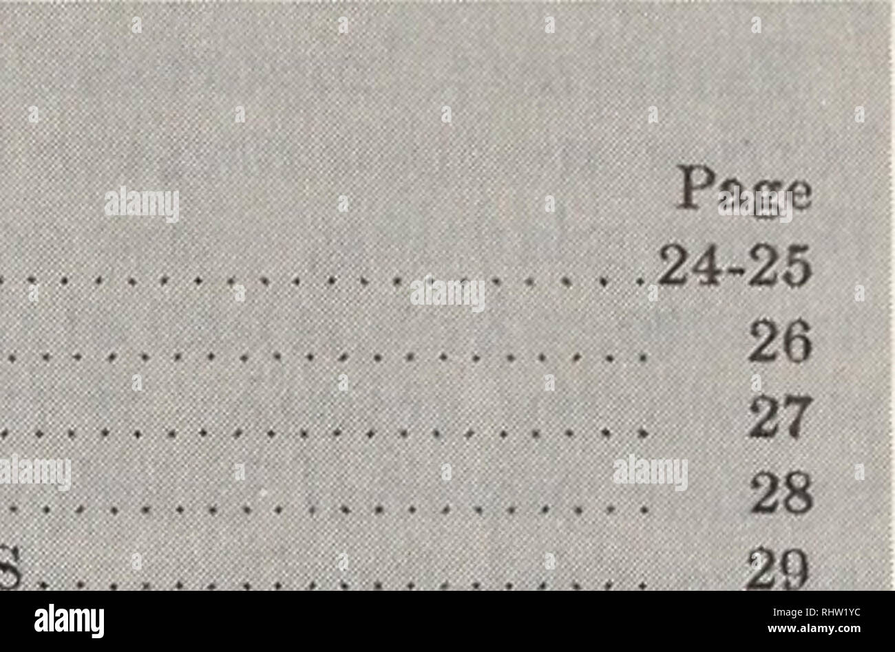 . Berry 1971 book : Rayner Bros. NEW MODEL PYRAMID $8.98 Consists of ...
