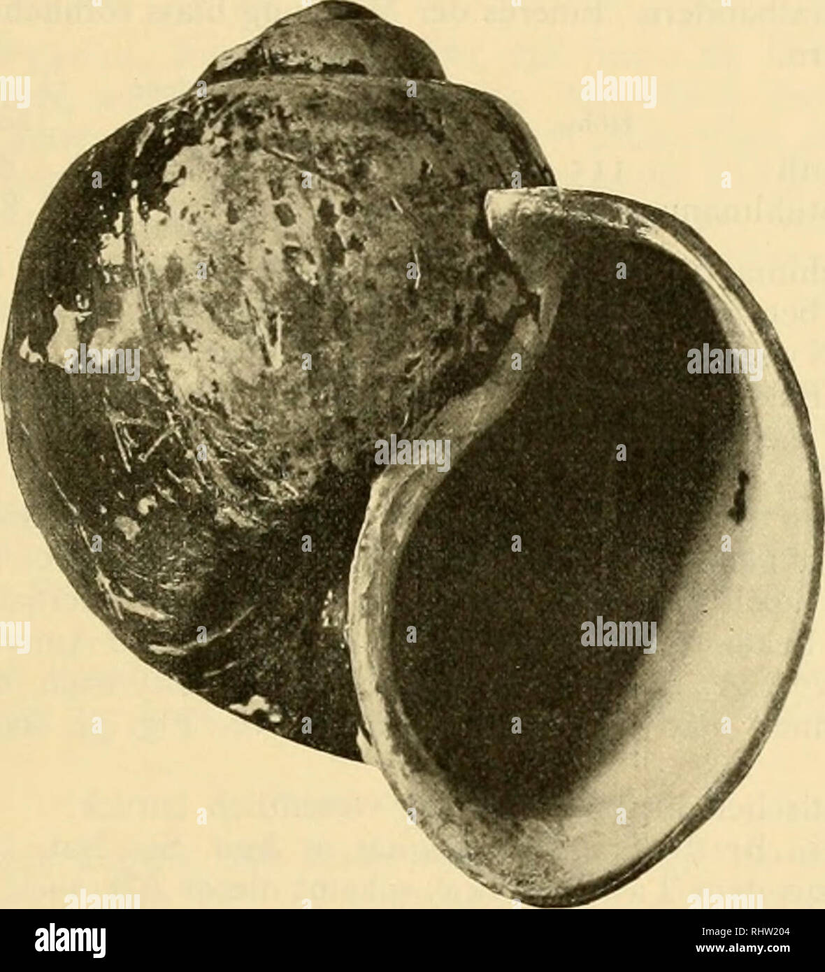 Isabell ost hi-res stock photography and images - Alamy