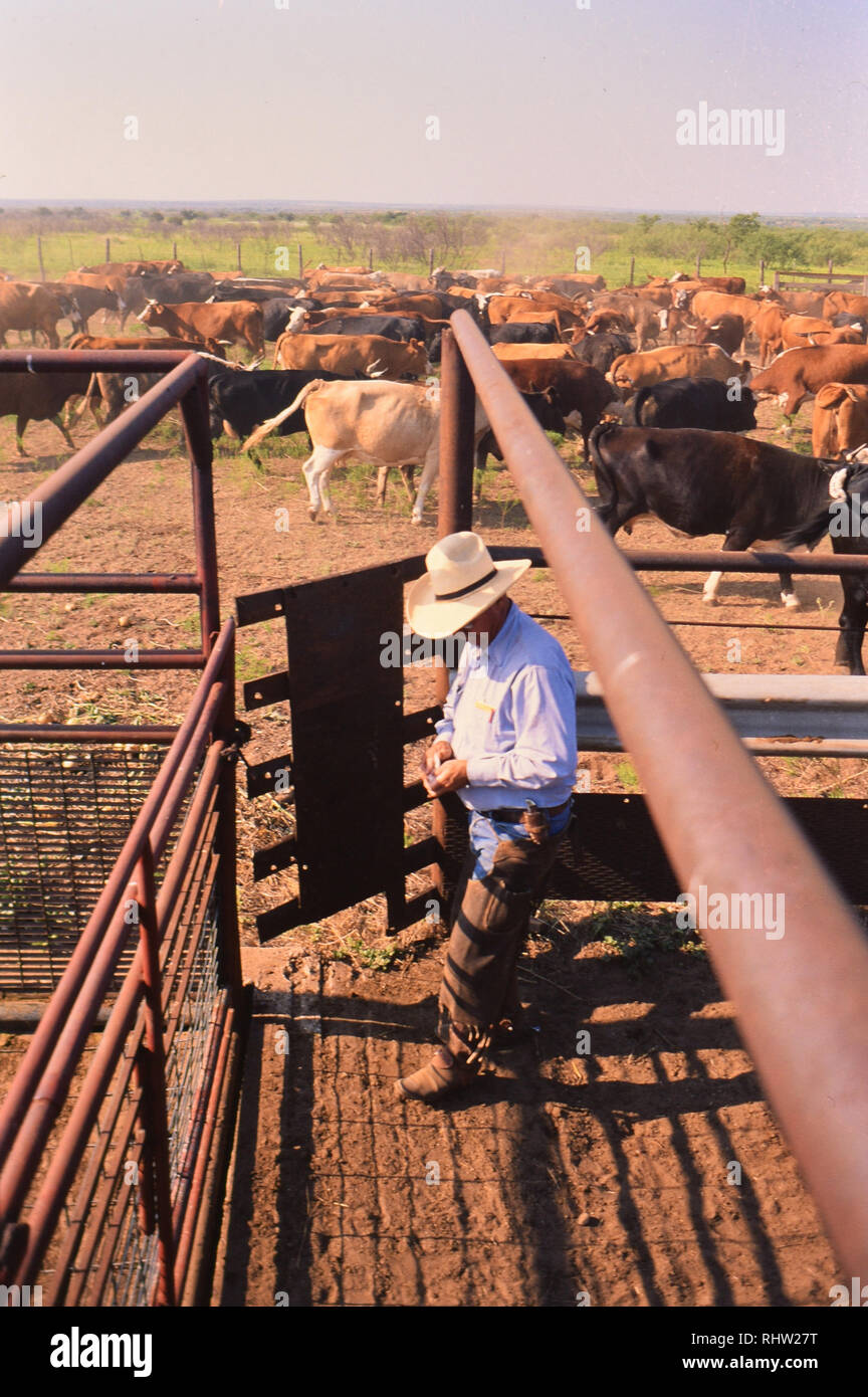 1990s texas cowboys hi-res stock photography and images - Alamy
