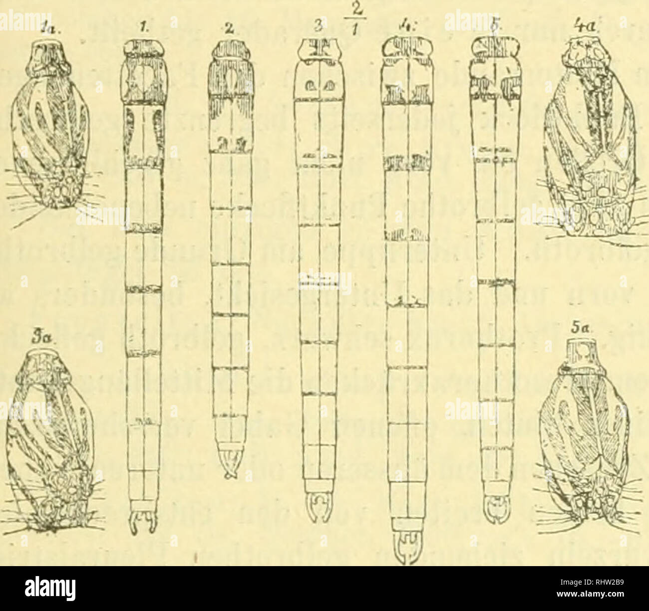 Brustkasten High Resolution Stock Photography and Images - Alamy