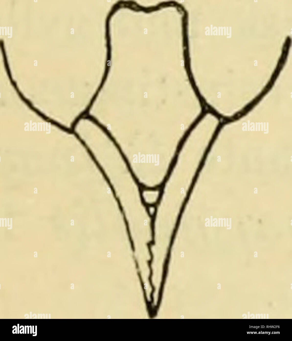 Vollenho hi-res stock photography and images - Alamy