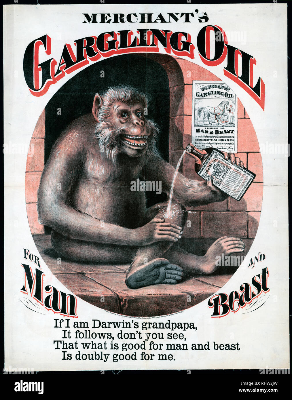 Merchant's gargling oil for man and beast advertisement ca. 1873 Stock ...