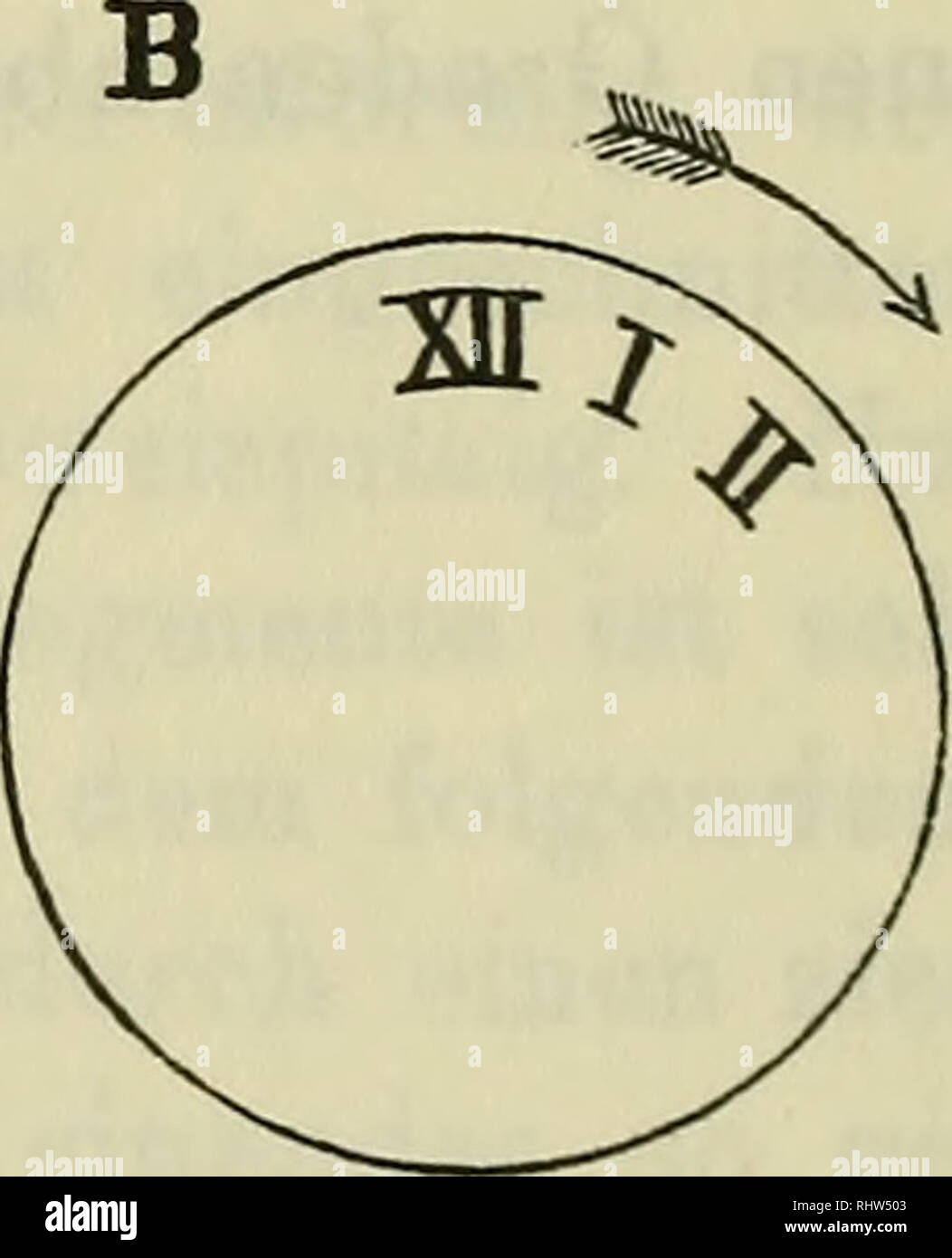 . Berichte der Deutschen Botanische Gesellschaft. Botany; Botany. In A ...