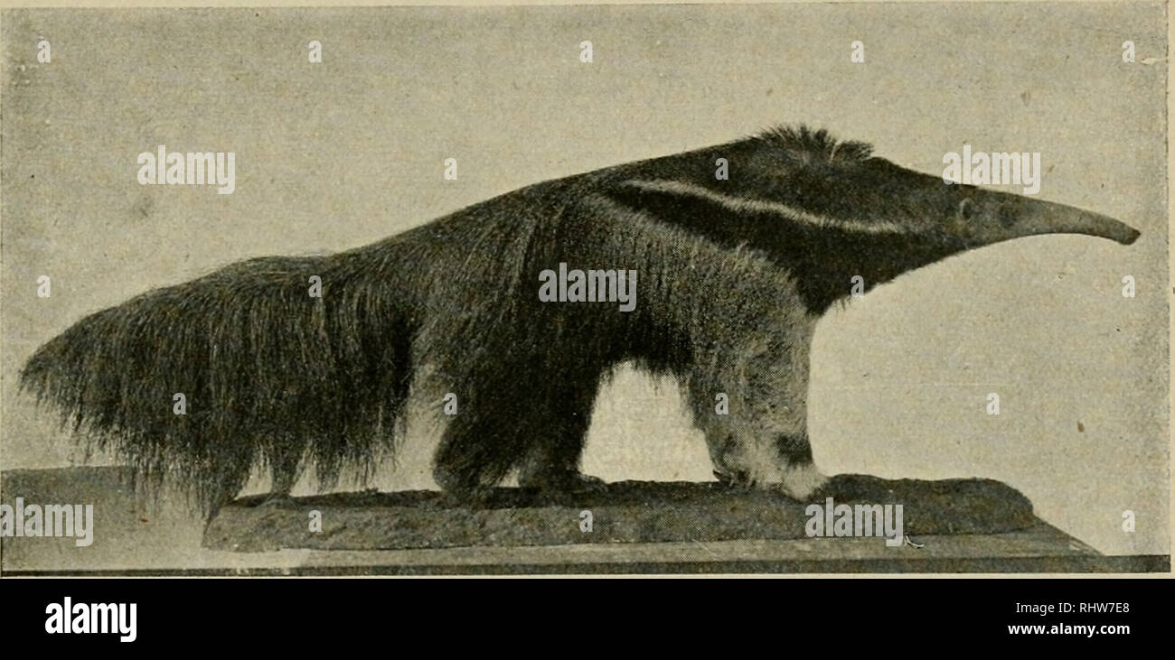 Fangapparat hi-res stock photography and images - Alamy