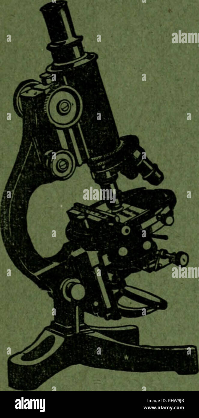 Ernst leitz wetzlar microscope 1923 - tropicalolpor