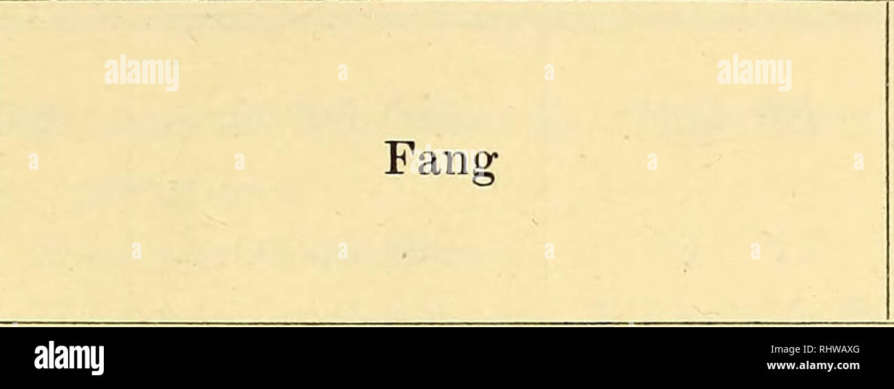 Cifer High Resolution Stock Photography and Images - Alamy