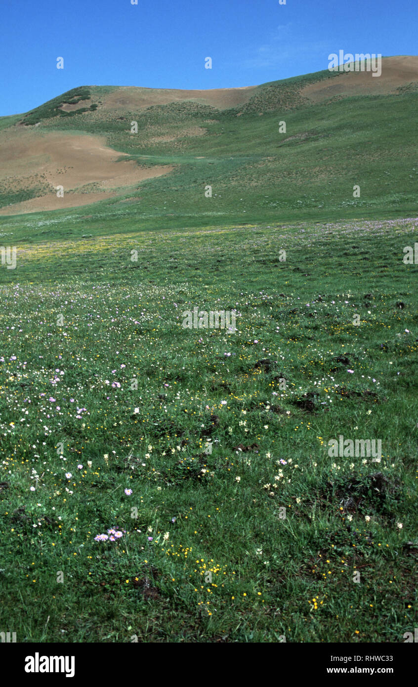 Golok hi-res stock photography and images - Alamy