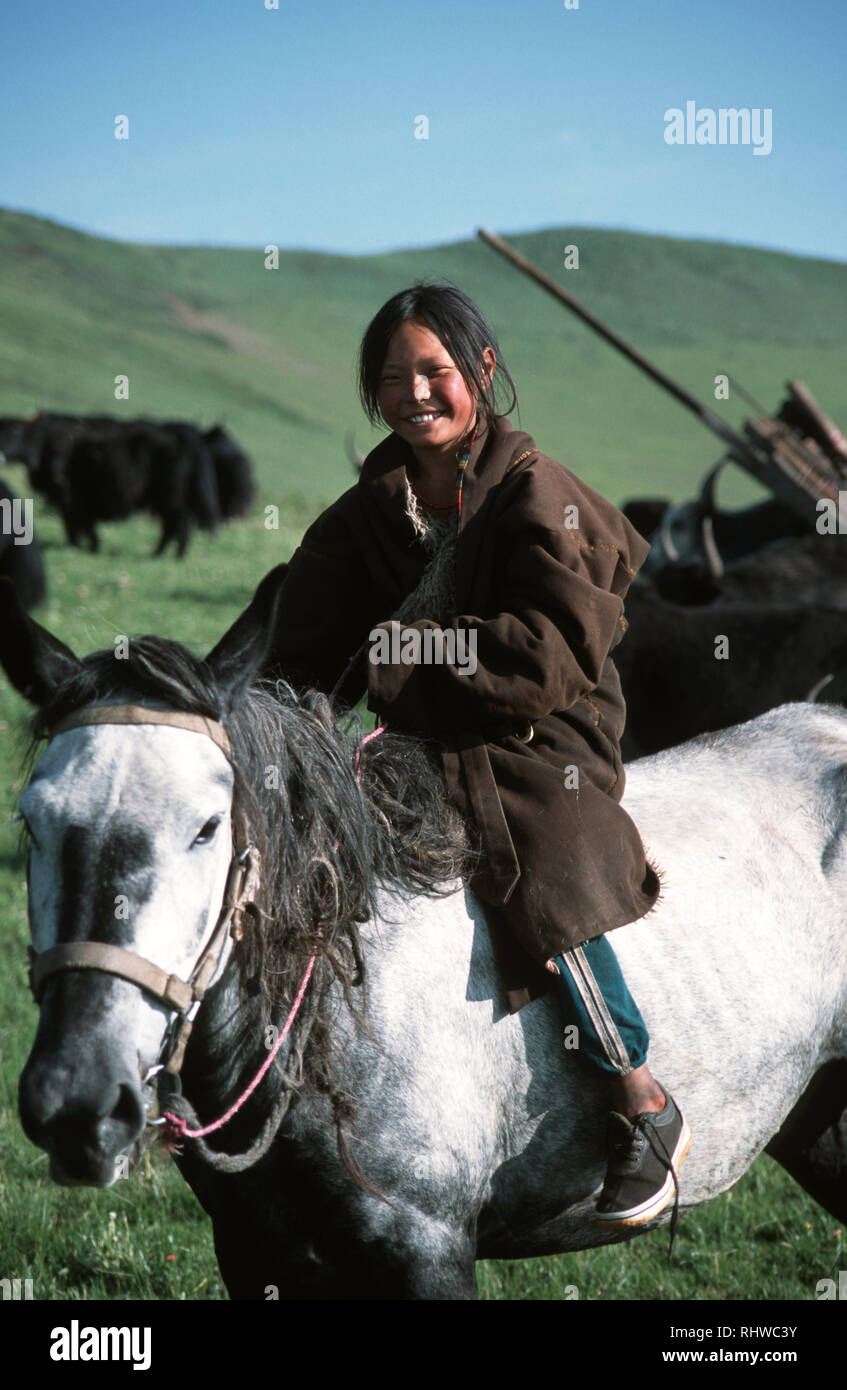 Tibetan nomads in the meadows of the tibetan plateau hi-res stock ...