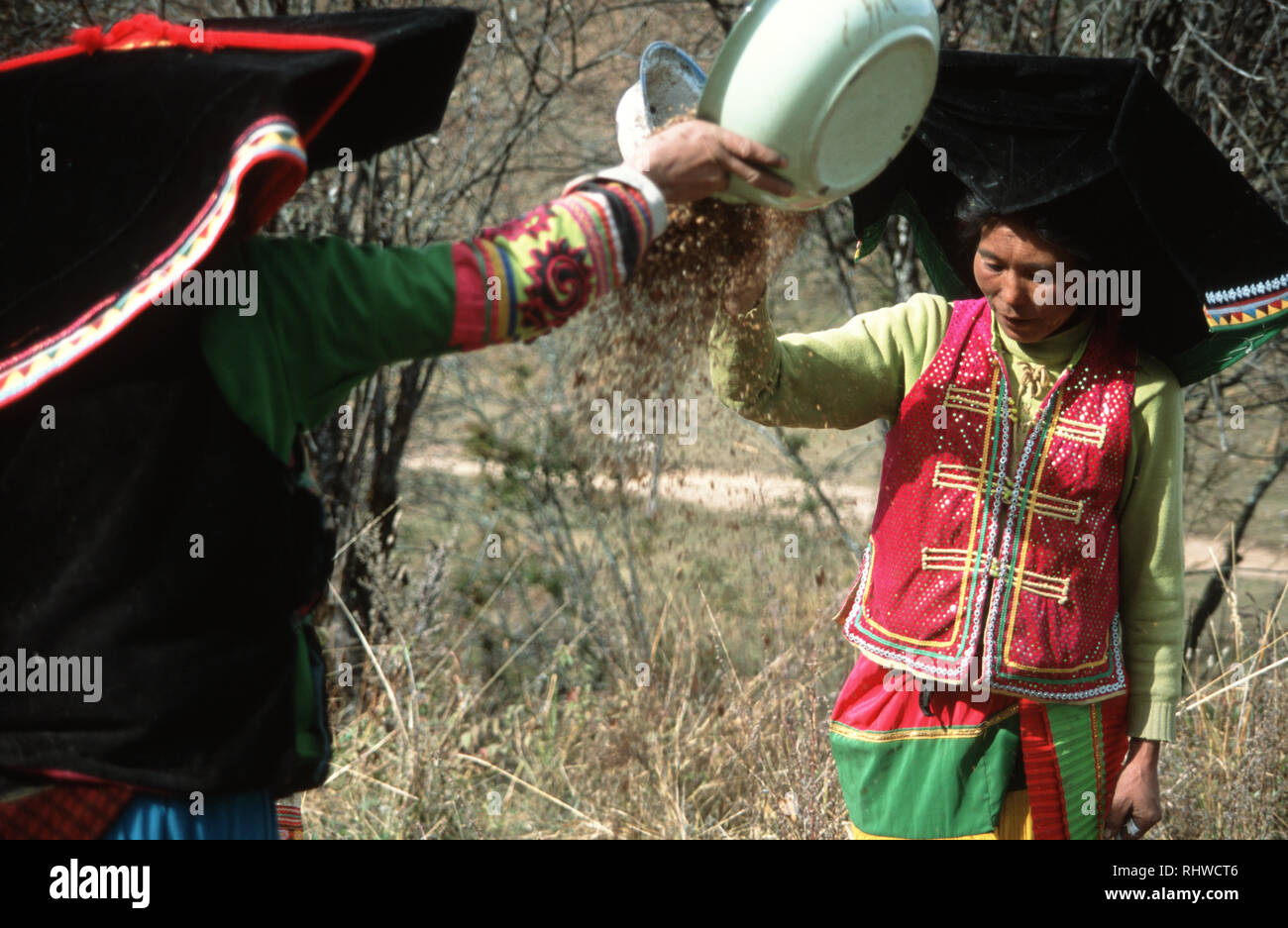 Wedding Rice Containers Stock Photos & Wedding Rice Containers Stock ...